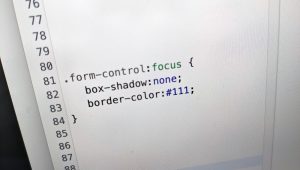 Bootstrap Input Controls CSS-Farbe & -Design anpassen – HDpublish GmbH